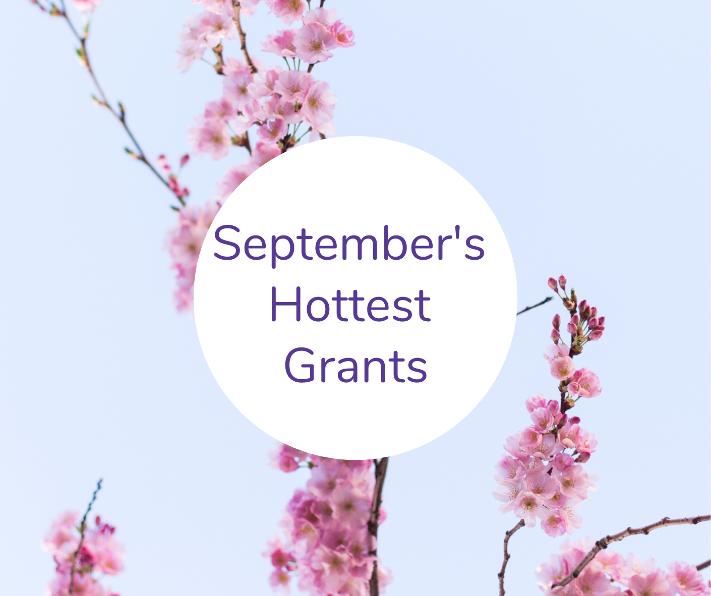 The Latest Sports and Recreation Grants - The Grants Hub