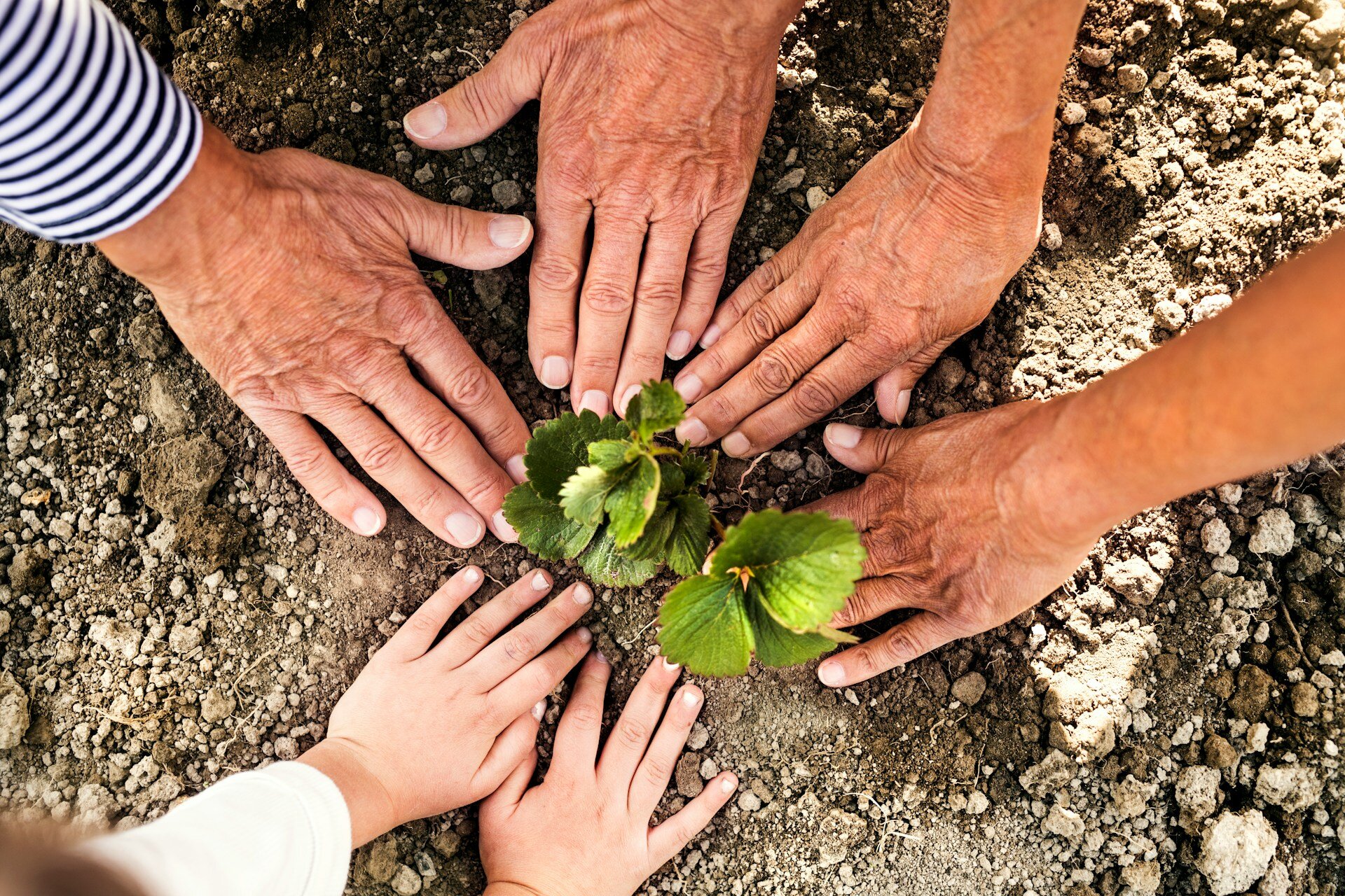 Grants For Charities | The Grants Hub